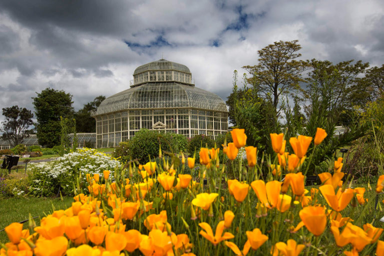 Iveagh Gardens | Tourist Attractions Dublin | Drury Court Hotel